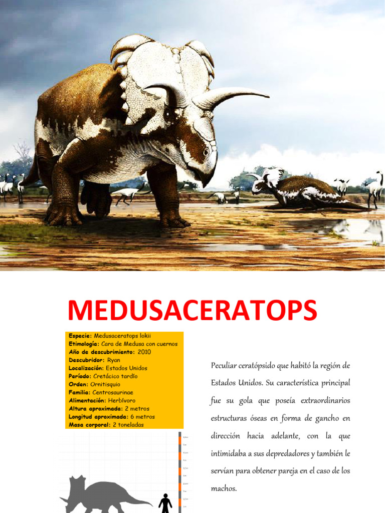 Medusaceratops: Ceratópsido del Cretácico | PDF