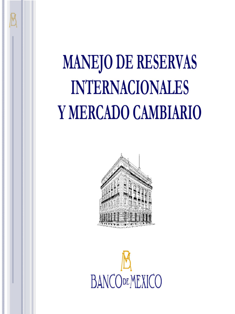 Manejo de Reservas Internacionales y Tipo de Cambio | PDF | Deuda | Moneda