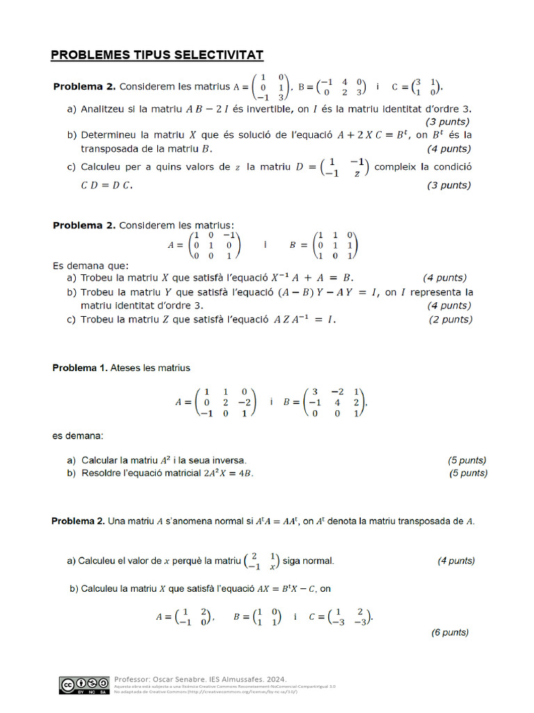 29 Problemes Selectivitat Matrius (I) | PDF