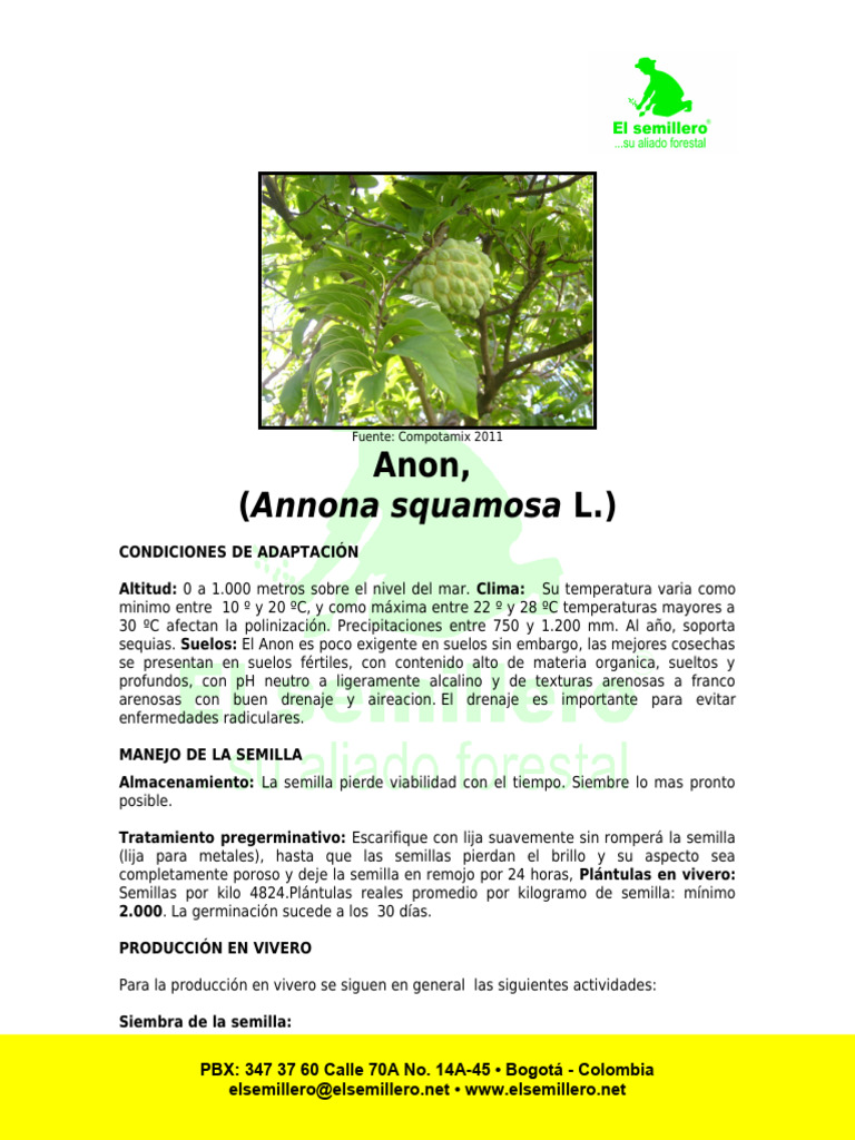 Cultivo y manejo del Anón (Annona squamosa) | PDF | Riego | Semilla