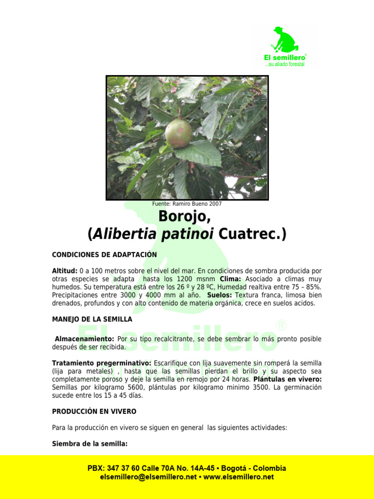 Cultivo y Germinación del Borojo | PDF | Riego | Siembra