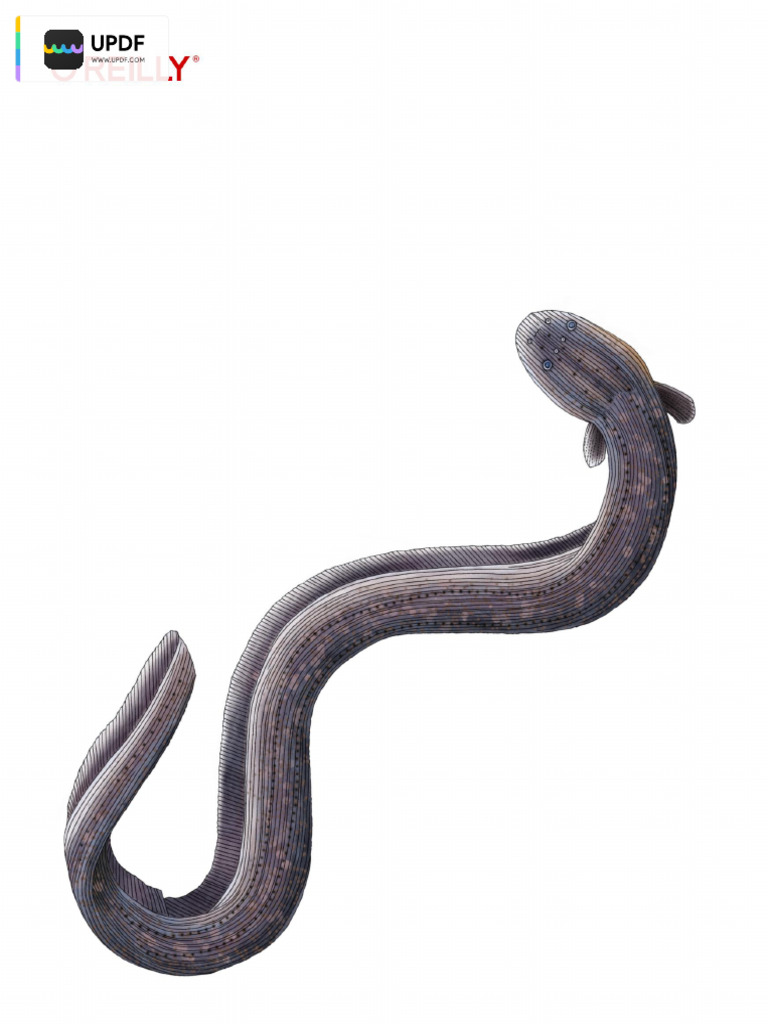 Scaling Machine Learning With Spark Distributed Ml With Mllib Tensorflow And Pytorch Adi