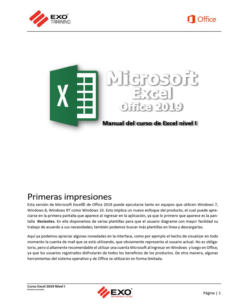 Curso Básico de Excel 2019 | PDF | Microsoft Excel | Hoja de cálculo