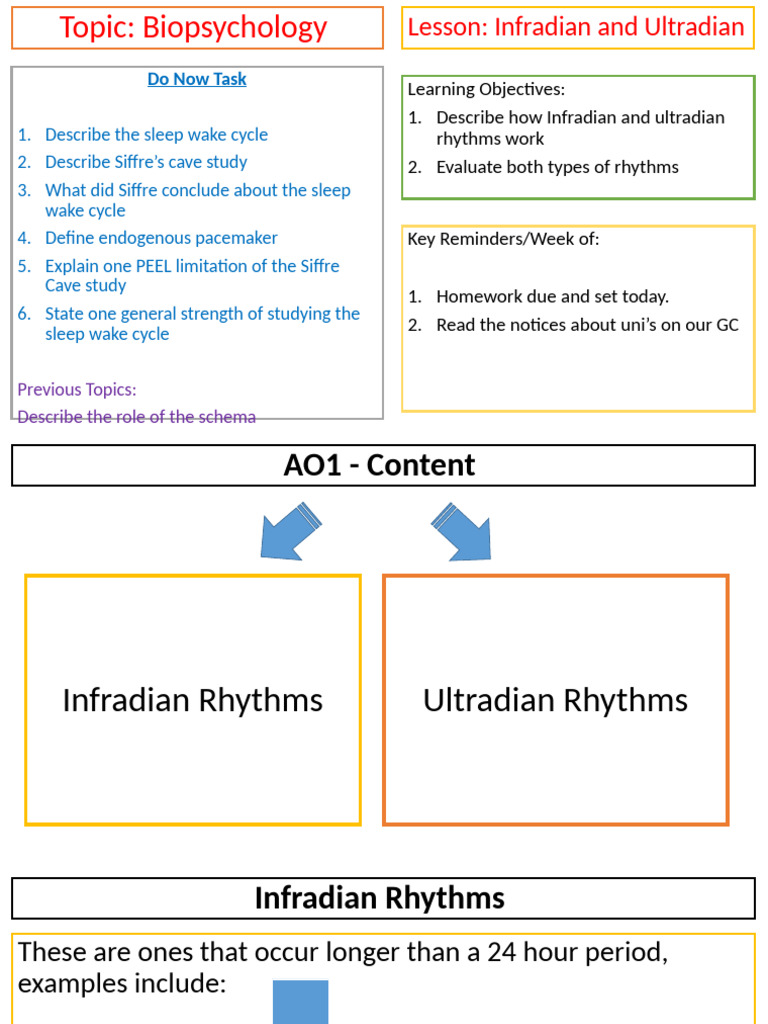Infradian and Ultradian Rhythms | PDF | Sleep | Behavioural Sciences