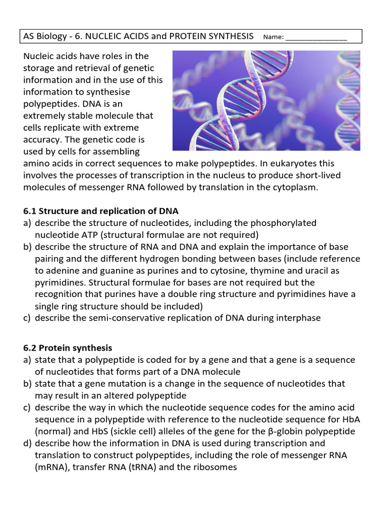 NUCLEIC ACIDS and PROTEIN SYNTHESIS | PDF | Dna | Rna