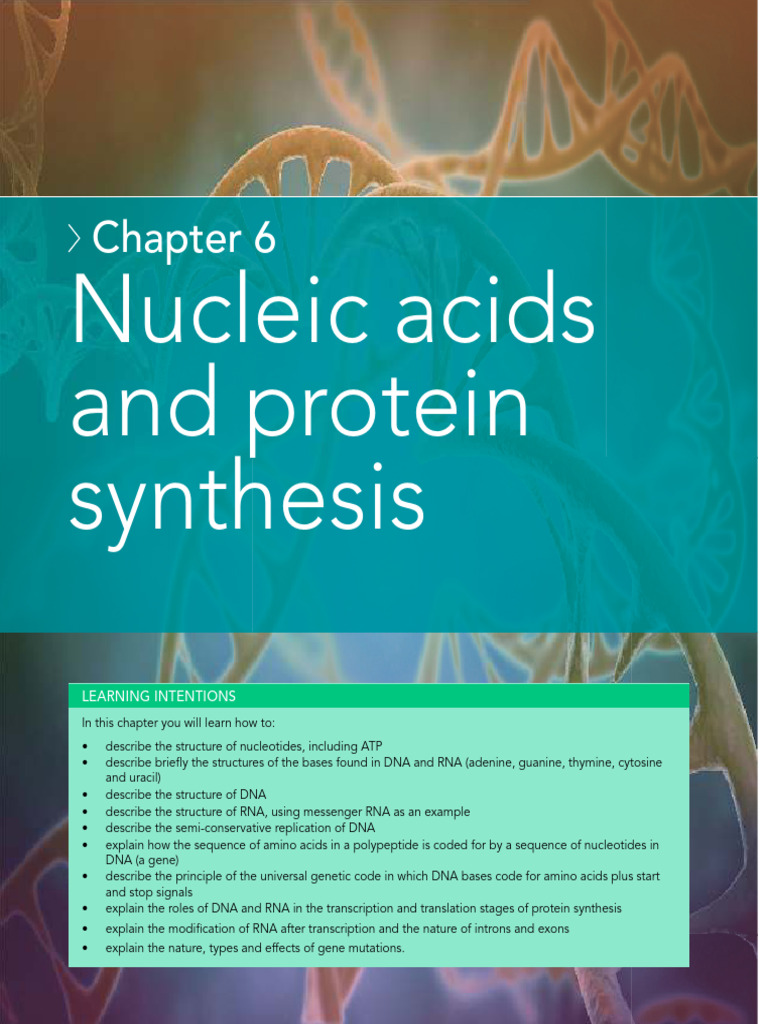 AS 6 Nucleic acids- Book | PDF | Rna | Dna