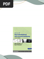 Major Basic Set (Operating Room Instruments) | PDF | Surgery | Medical ...