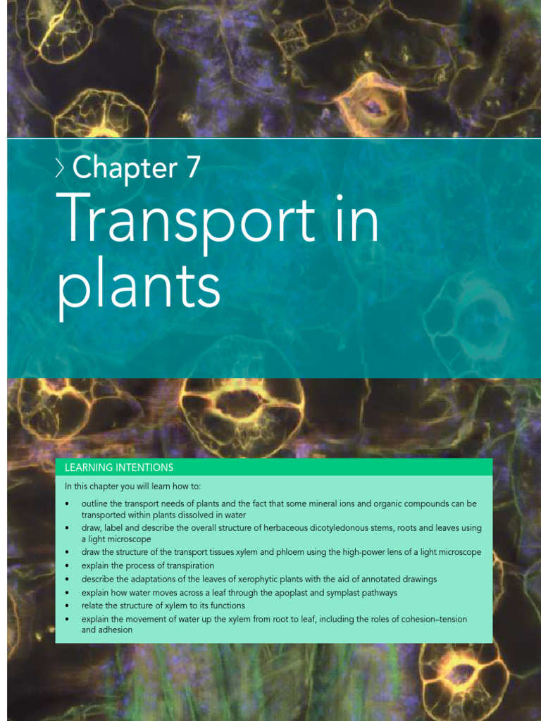 AS 7 Transport in plants- Book | PDF | Leaf | Stoma