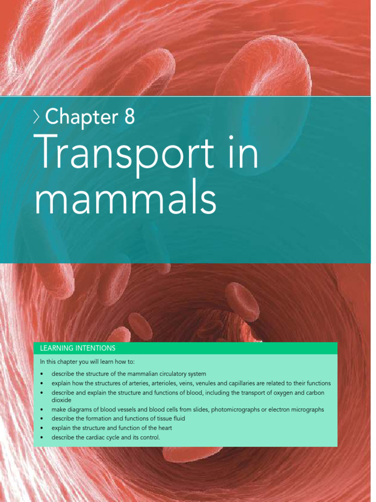AS 8 Transport in mammals- Book | PDF | Artery | Circulatory System