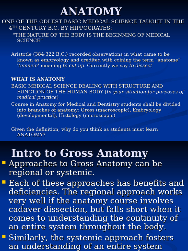 Anatomy 1 | PDF | Vertebra | Anatomical Terms Of Motion