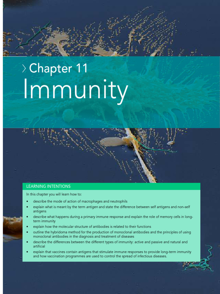 AS 11 Immunity - Book | PDF | Antibody | Immune System