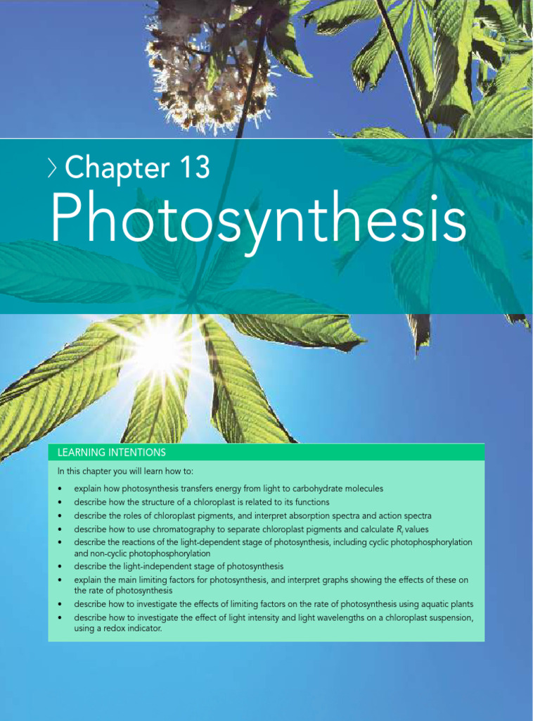 A 13 Photosynthesis- Book | PDF | Photosynthesis | Chloroplast