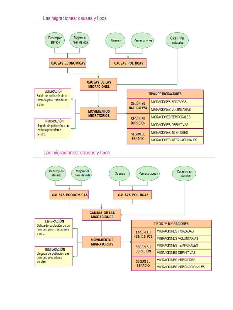 Mapa Conceptual Tema Demografia 8 Sociales - 3 Periodo | PDF