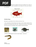 Fish Body Shapes and Examples | PDF | Fin | Fish