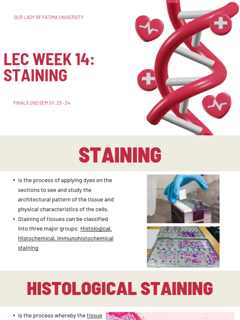 LEC WEEK14 STAINING | PDF | Staining | Dye