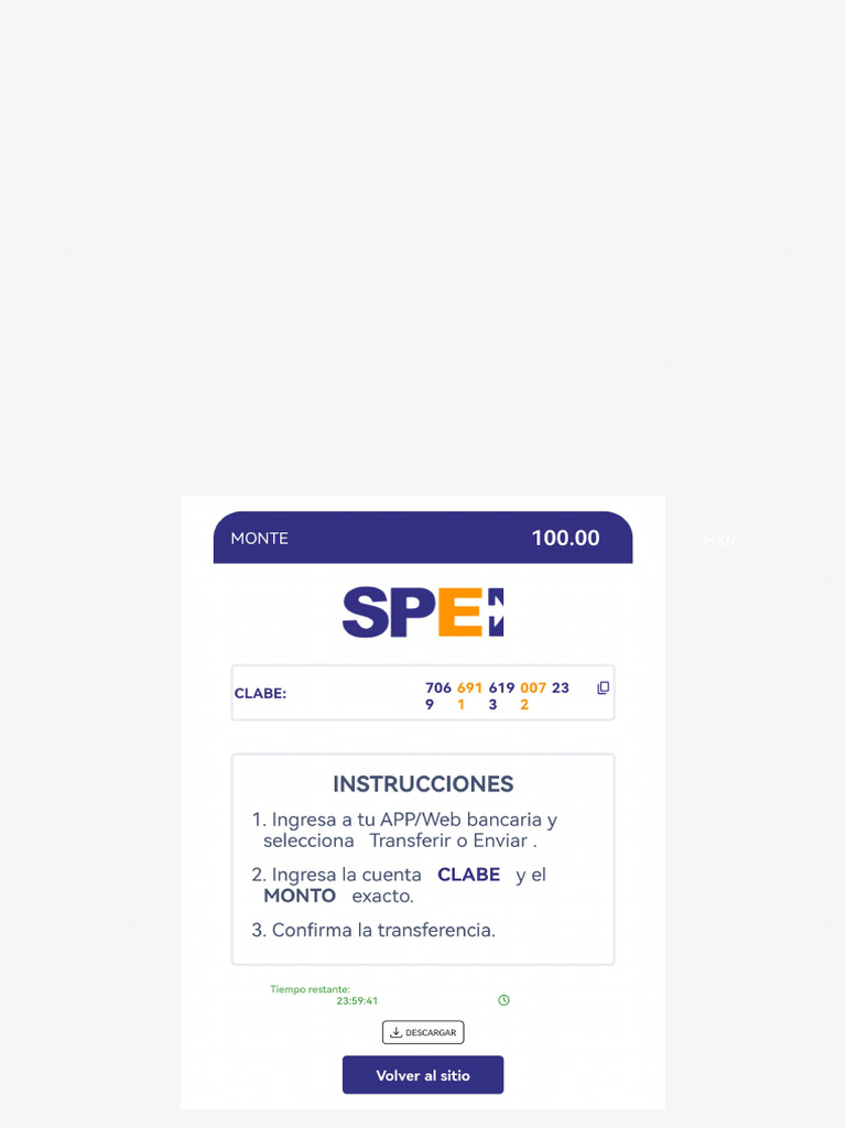 Spei Form | PDF