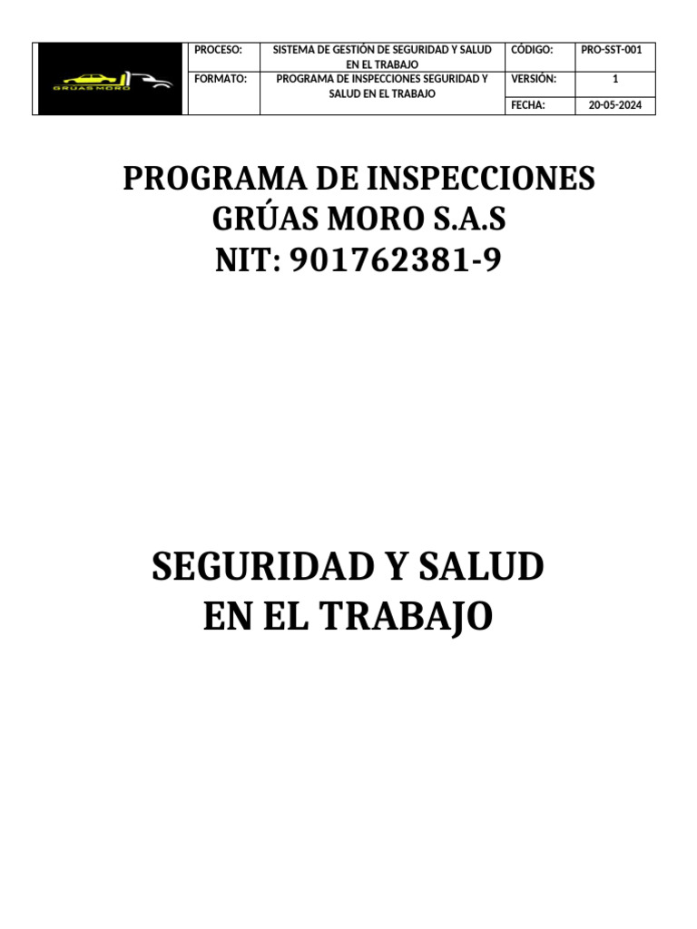 Pro-Sst-001 - Programa de Inspecciones SST | PDF | Motores | Comportamiento