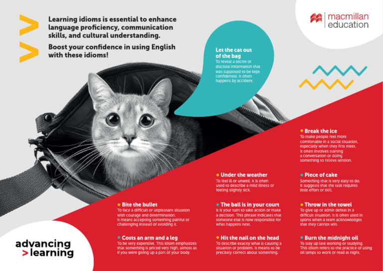 English Idioms Poster A3 20241118 Digital | PDF