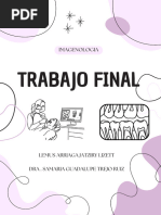 Proyecciones RX de Oído y Mastoides | PDF | Oído | Otología