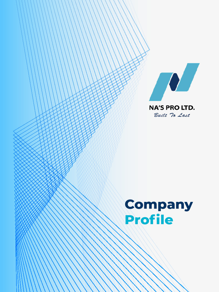 NAS PRO PROFILE copy | PDF | Scrap