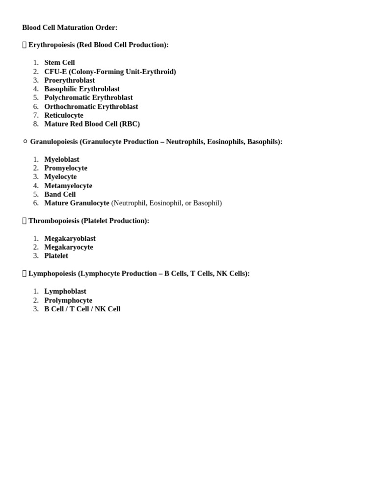 Blood Cell Maturation Order | PDF
