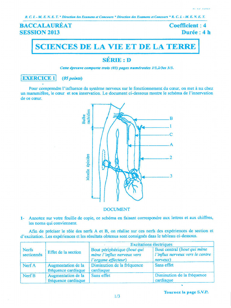 Bac D SVT 2013 | PDF