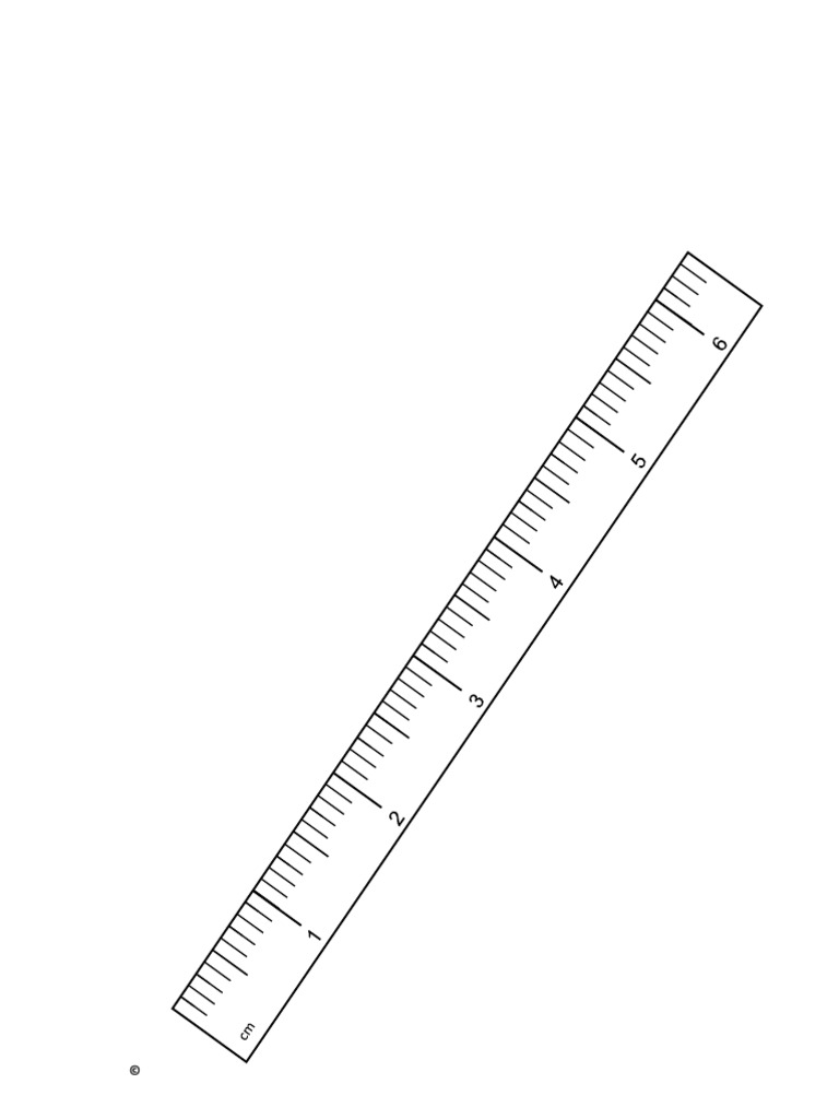 Measuring with a Metric Ruler Guide | PDF | Decimal | Area