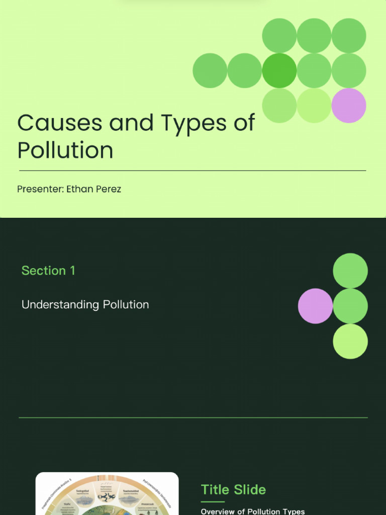 Causes and Types of Pollution | PDF