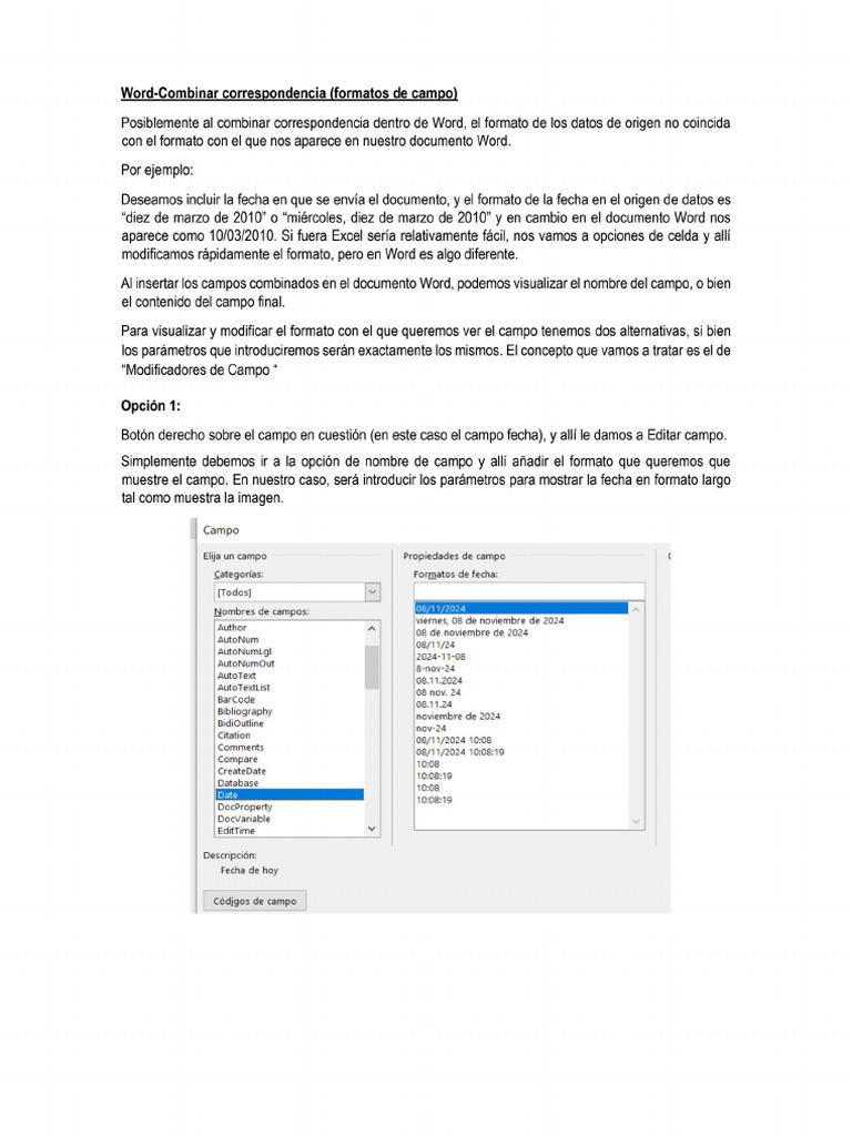 Formato de Campos Combinados | PDF
