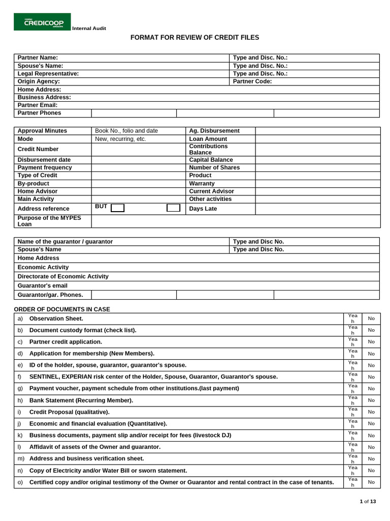 4 V3 Format for File Review | PDF | Balance Sheet | Credit