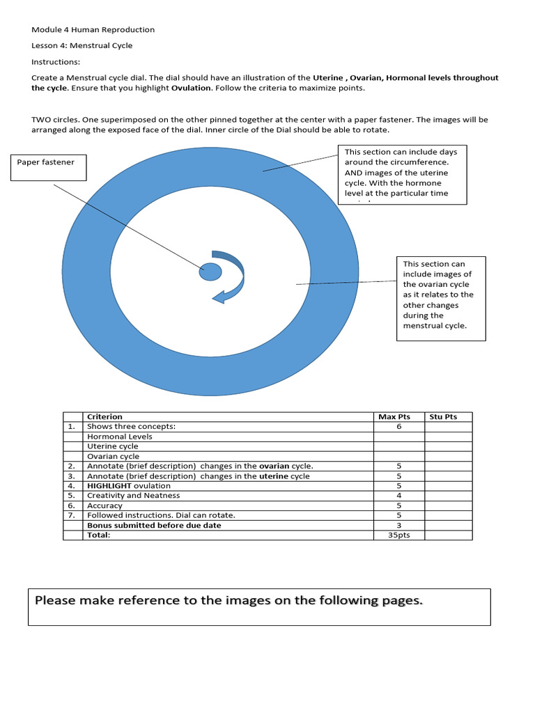 1.4 Assessment- Menstrual Cycle DIAL-M4L3 | PDF | Menstrual Cycle | Ovary