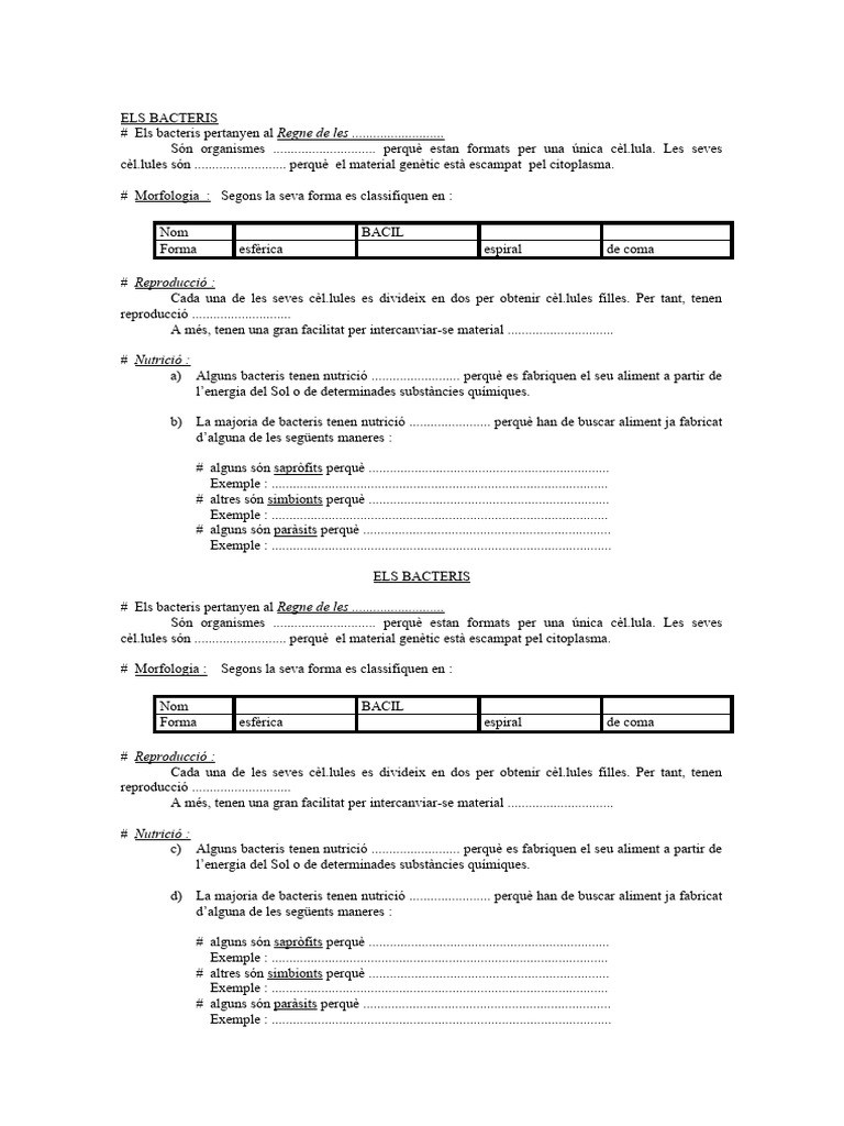 Exercici-Resum Bacteris | PDF