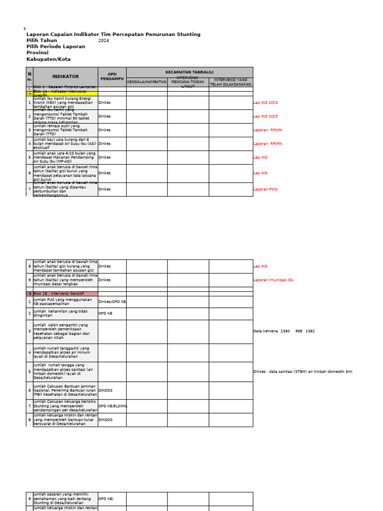 FORMAT MONEV TPPS KABUPATEN 2024 | PDF
