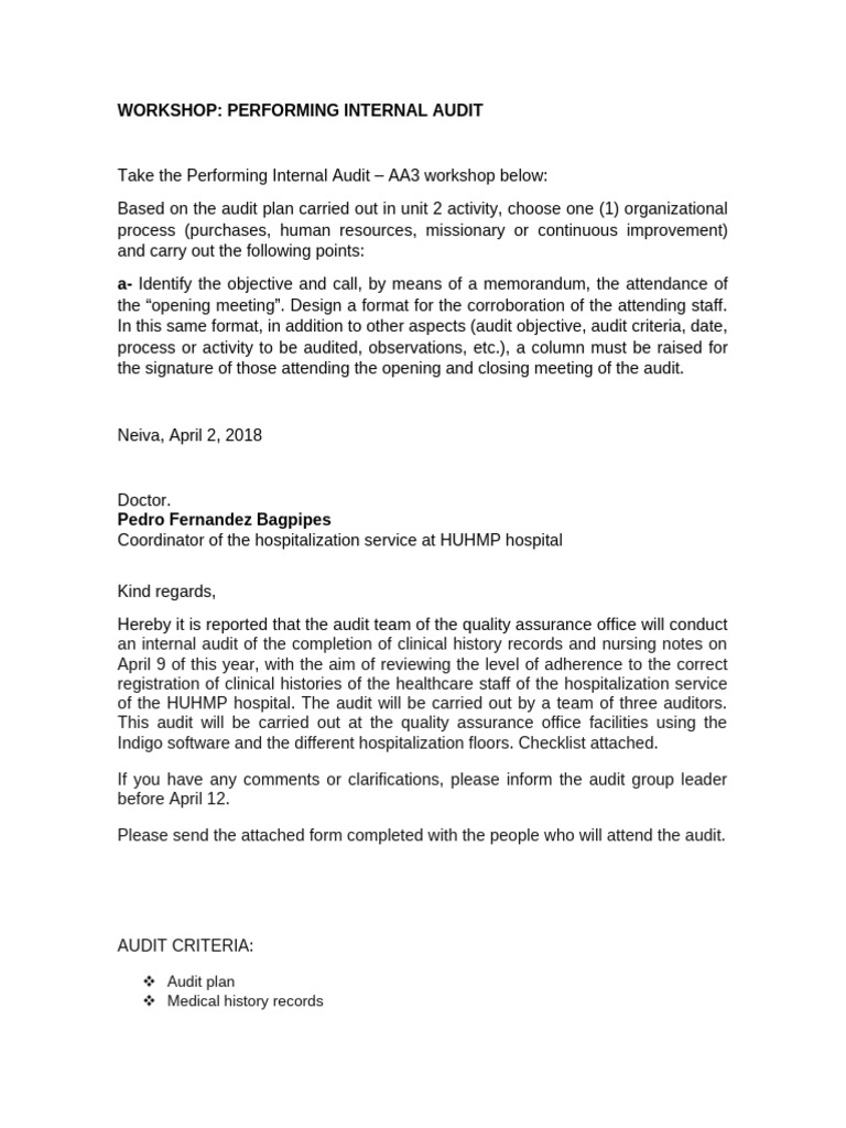 Internal Audit Example Hospital | PDF | Audit | Internal Audit