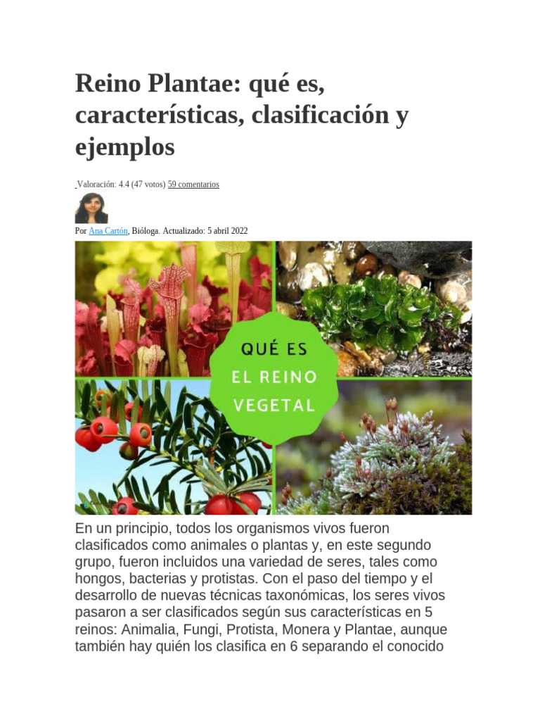 Características y clasificación del reino Plantae | PDF | Plantas ...