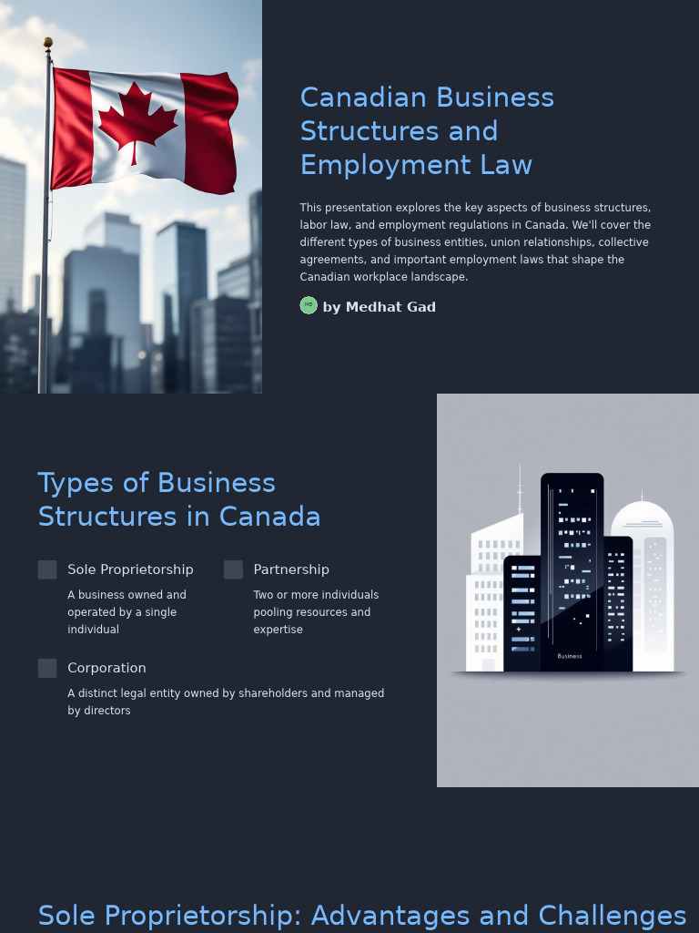 Canadian Business Structures and Employment Law | PDF | Employment | Layoff