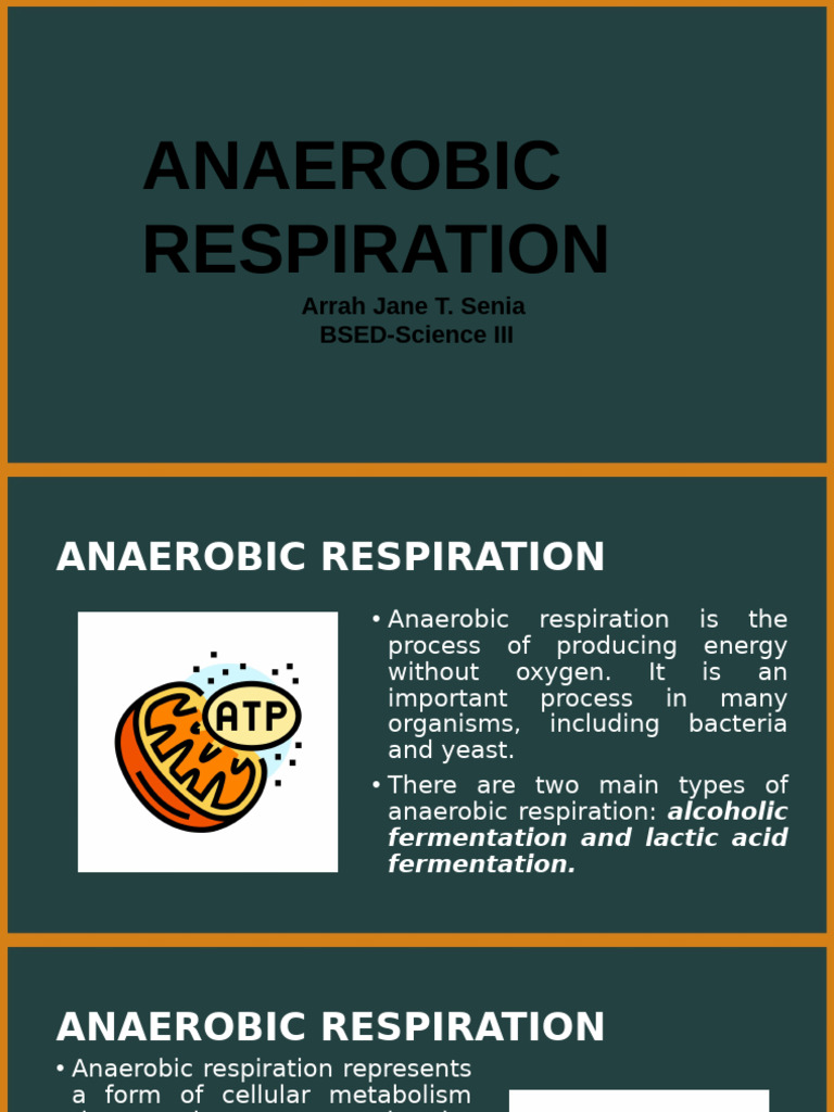 Respiration-Part-2 - Arrah | PDF | Cellular Respiration | Fermentation