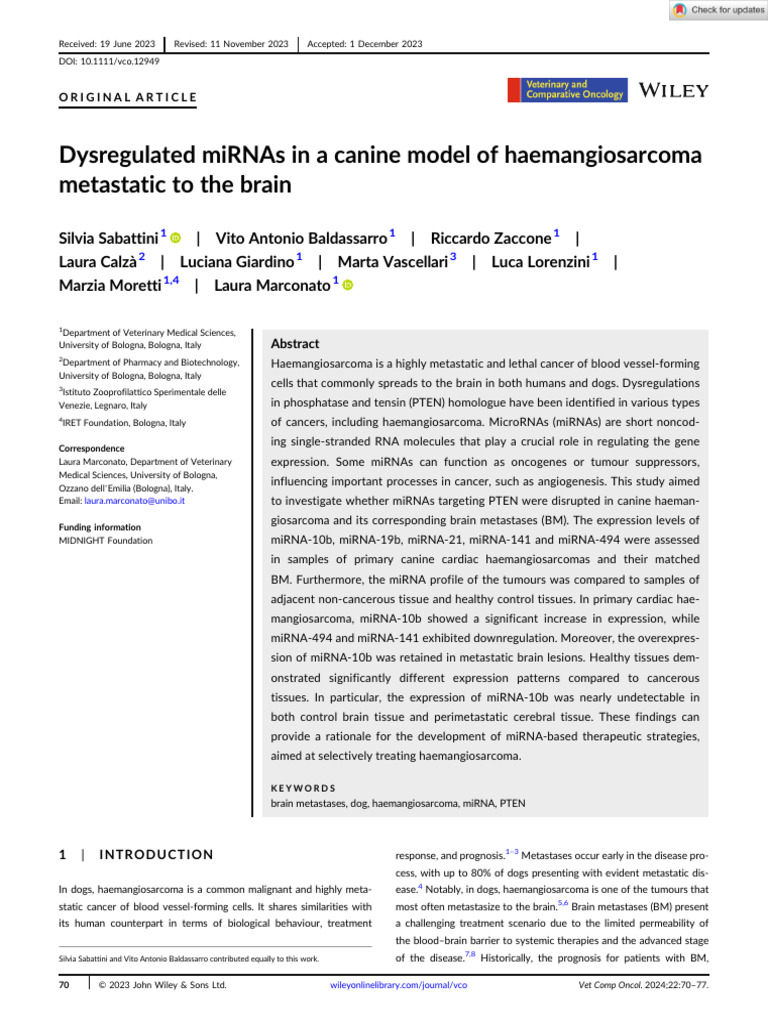 Dysregulated miRNAs in Canine Hemangiosarcoma | PDF | Metastasis ...