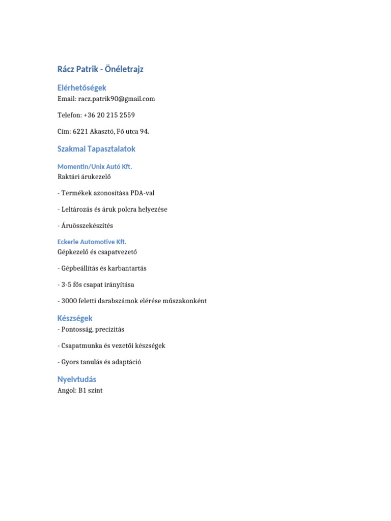 Racz Patrik CV | PDF