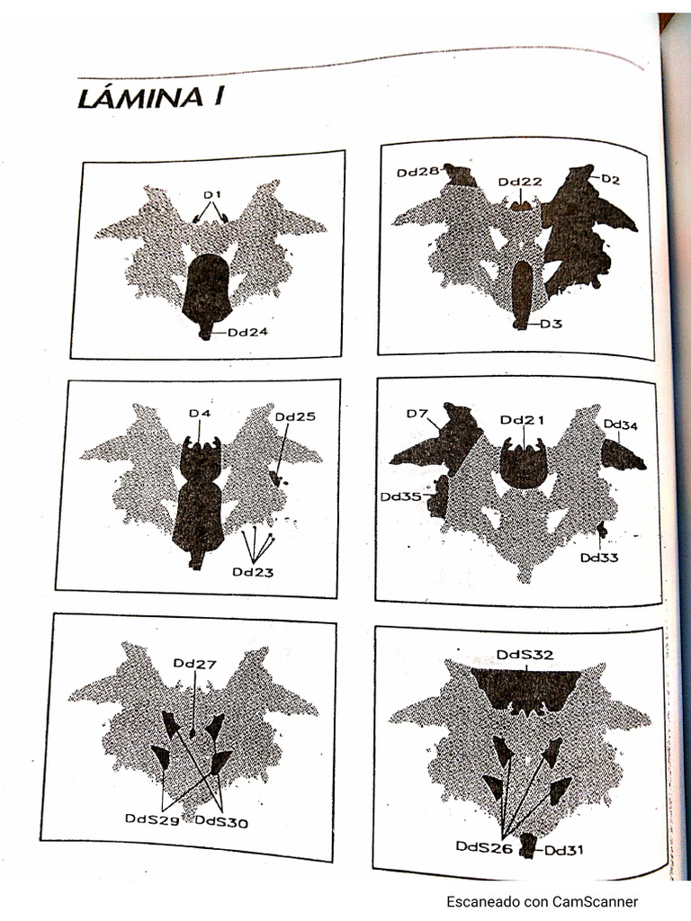Areas de Detalle Usual e Inusual Laminas Rorschach | PDF