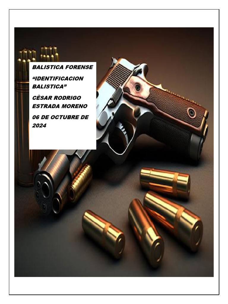Identificación Balística Rodrigo | PDF | Balística | Proyectiles