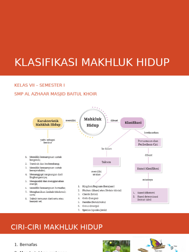 Klasifikasi Makhluk Hidup dan Ciri-Cirinya | PDF