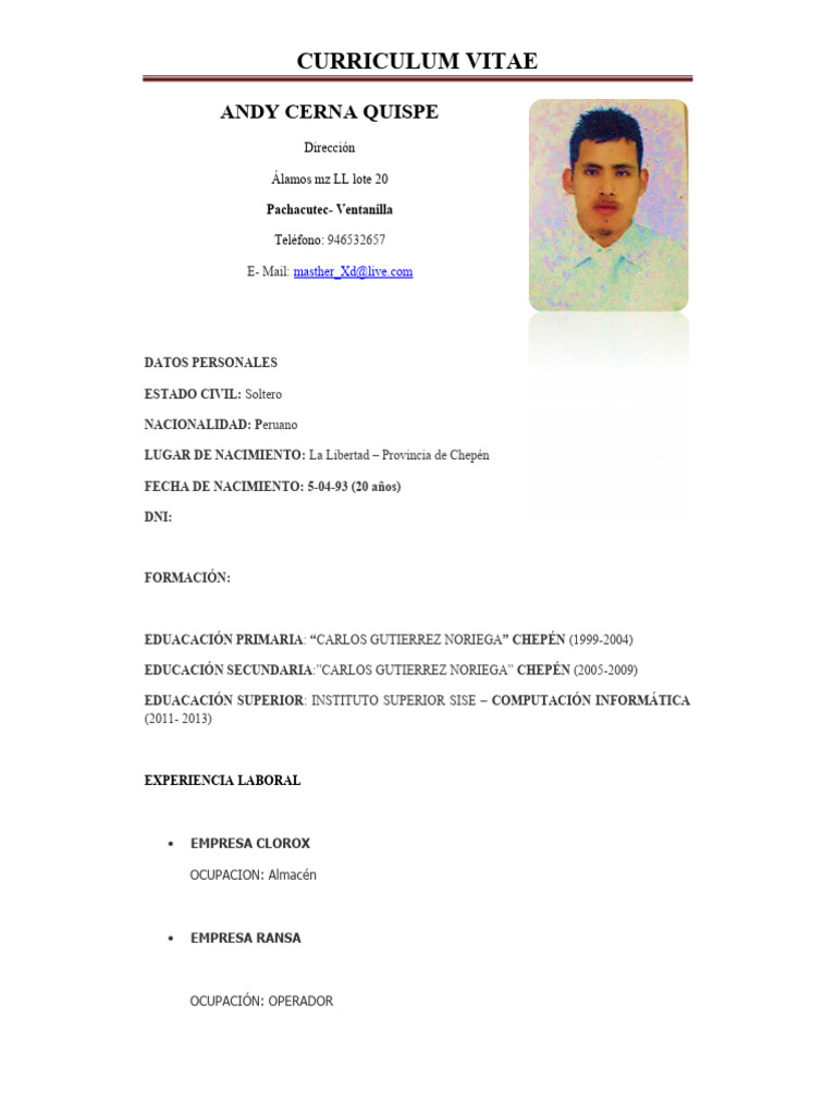 Curriculum Vitae: Andy Cerna Quispe | PDF