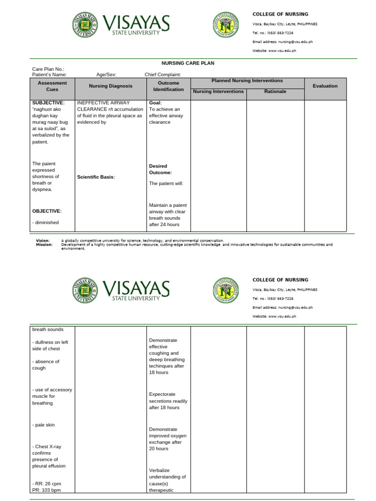 NCP Format PleuralEffusion | PDF | Nursing | Health Care