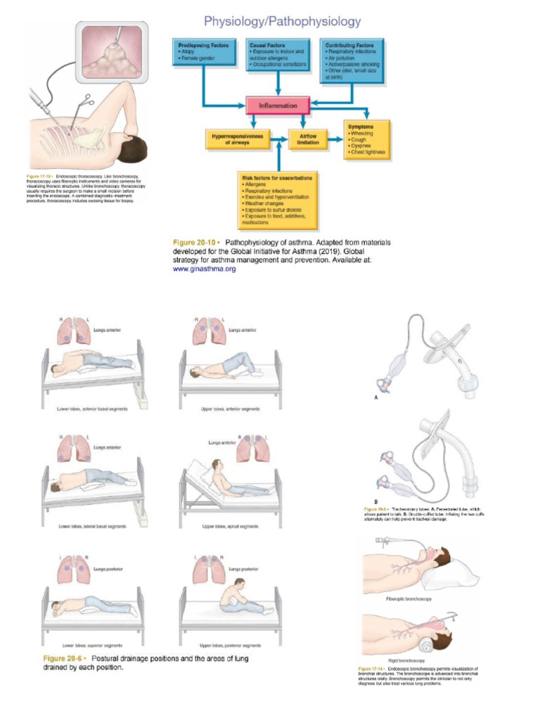 To Print Respi | PDF