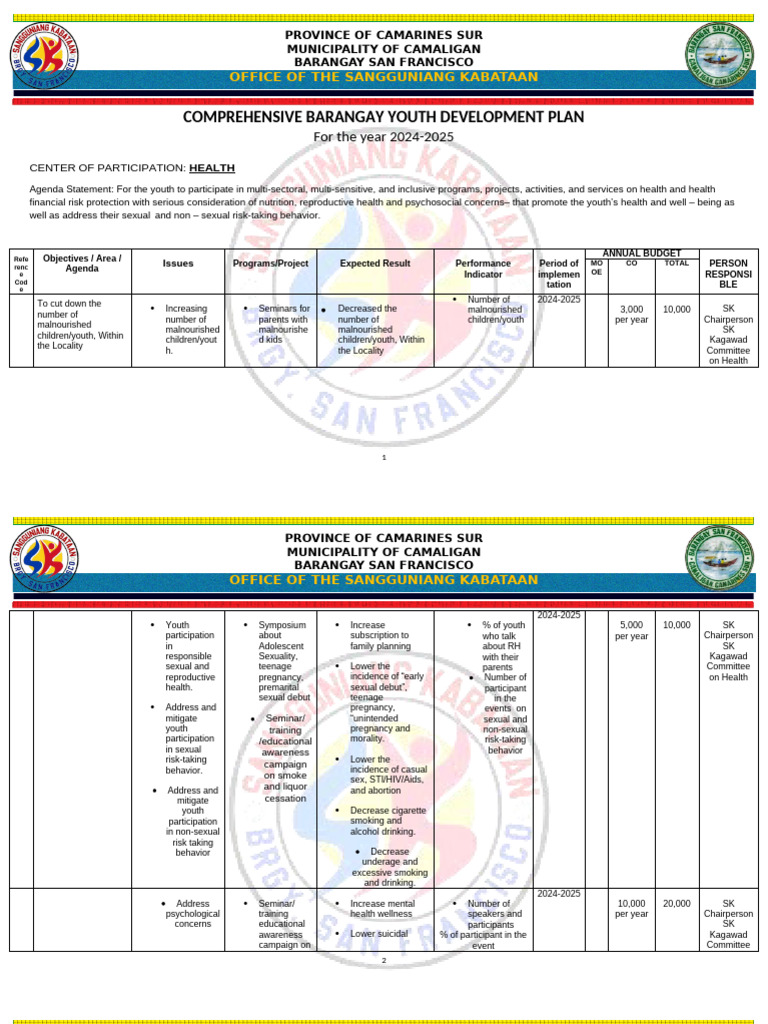 SK-SAN-FRANCISCO-Comprehensive-Barangay-Youth-Development-Plan | PDF ...