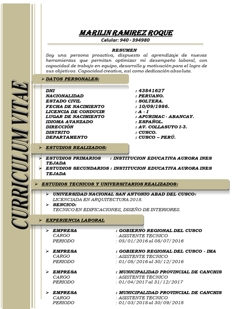 Curriculum Vitae 2024 | PDF