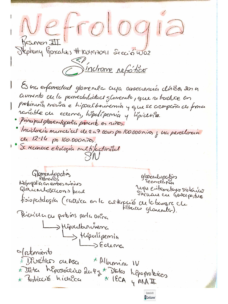 Resumen3 Goncalves W02 | PDF