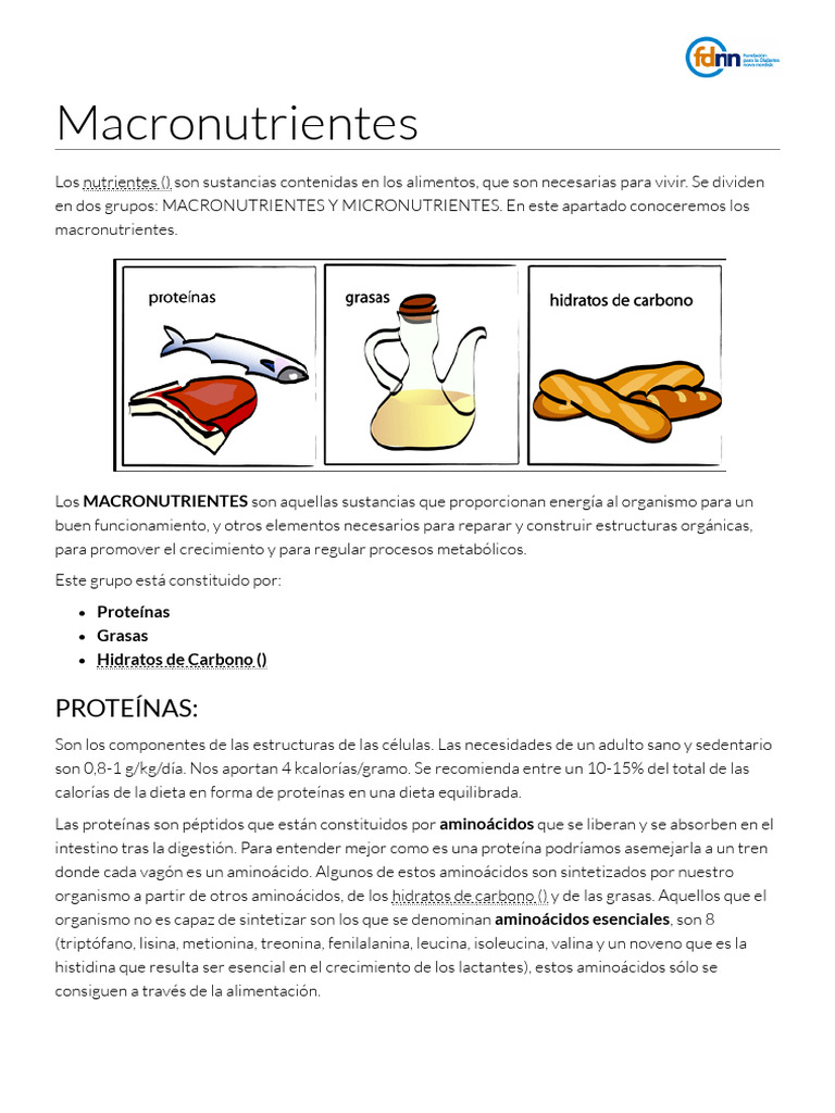 Guía de Macronutrientes Esenciales | PDF | gordo | Nutrientes
