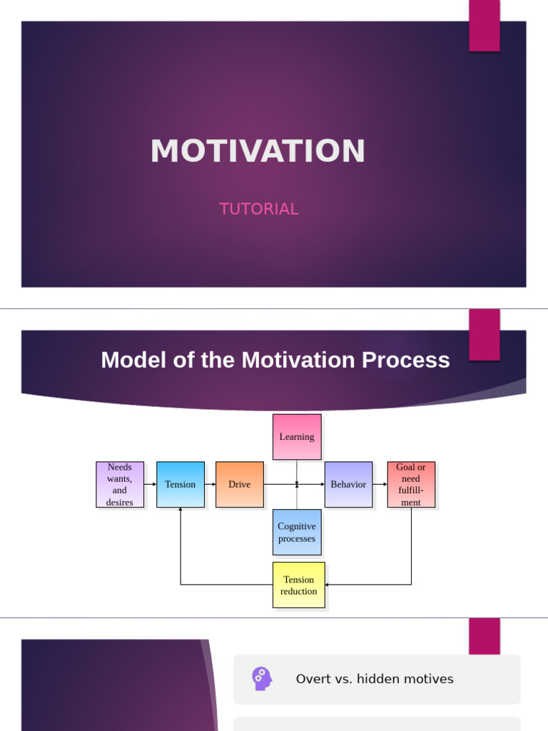 Understanding Motivation Theories and Applications | PDF | Motivational ...